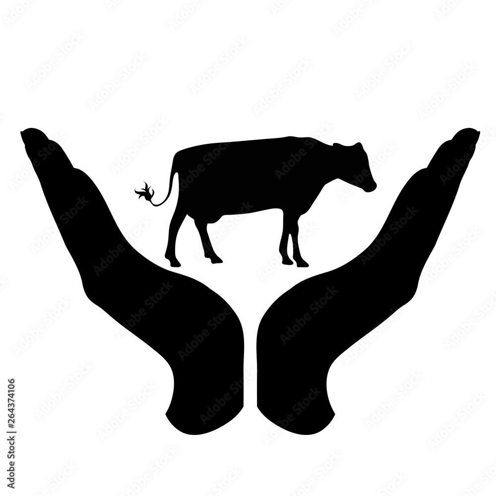 Vector silhouette of a hand in a defensive gesture protecting a cow ...
