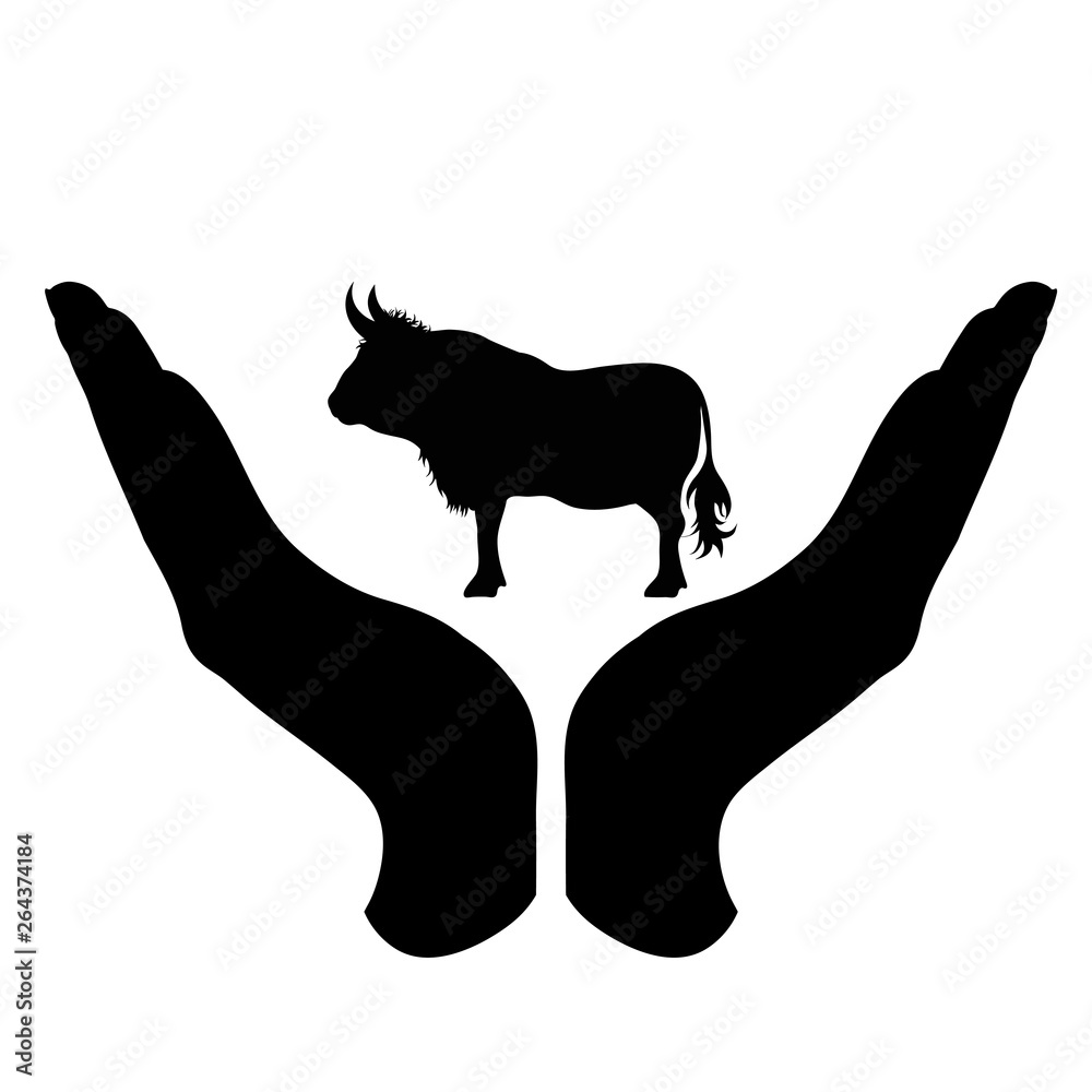 Vector silhouette of a hand in a defensive gesture protecting a bull ...
