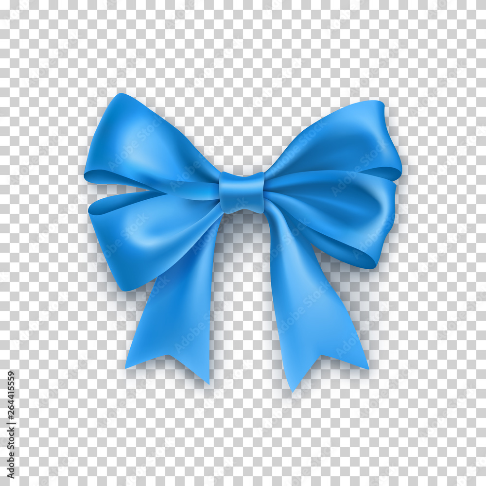 Real Blue Ribbon Bow