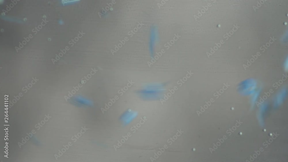 Microparticles of plastic in aquatic environment. Macro shooting of ...