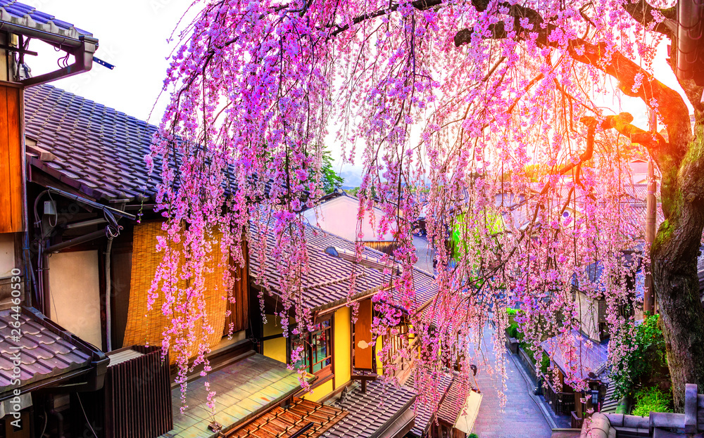 Morning Beautiful City Japan