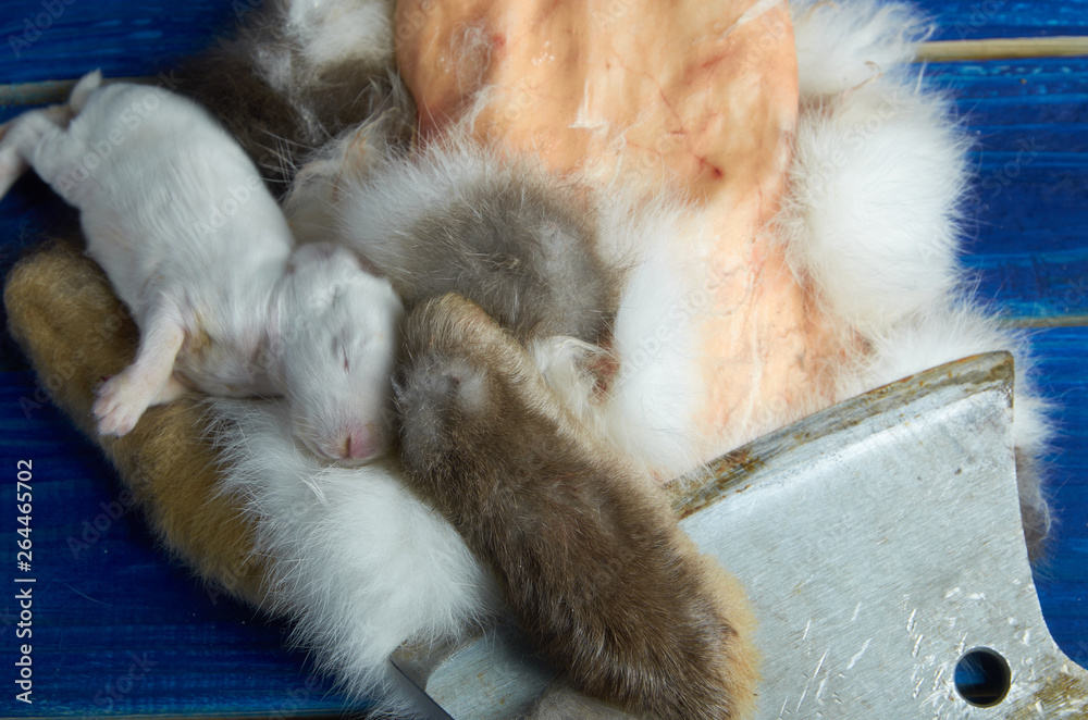 Small Dead Rabbit among parts of the white rabbit and the axe on a blue ...