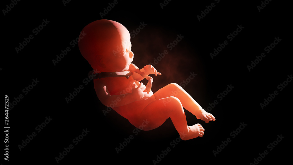 3d illustration of entanglement of umbilical cord around the fetus ...
