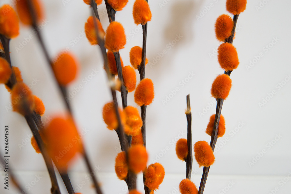 The branches of the Veras are painted in orange color on the background ...