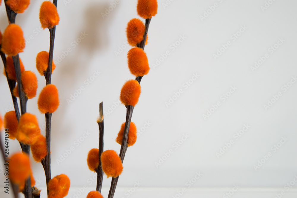 The branches of the Veras are painted in orange color on the background ...