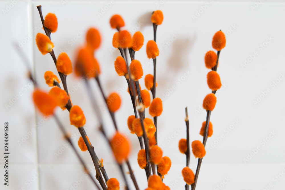 The branches of the Veras are painted in orange color on the background ...
