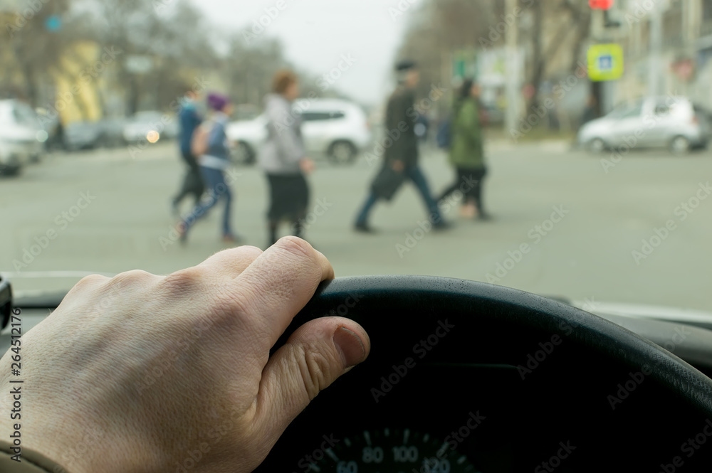 view from the car, the man's hand on the steering wheel of the car ...
