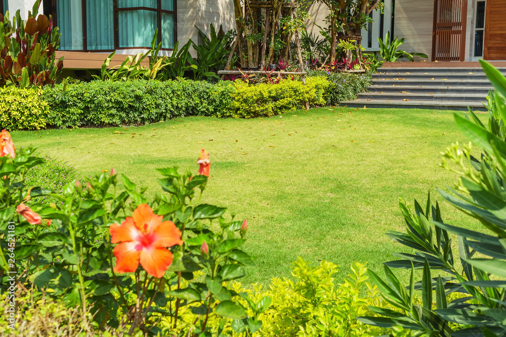 Flowers in the garden, Green grass, Modern house with beautiful ...