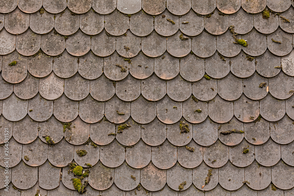 texture background house roof old clay tile shingles, mossy Stock Photo ...