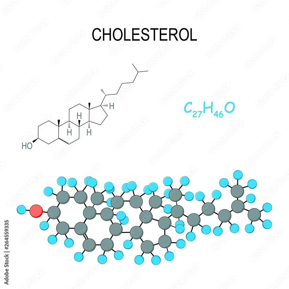 Cholesterol. Chemical structural formula and model of molecule. C27H46O ...