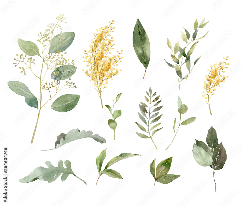 Set of watercolor greenery Stock Illustration | Adobe Stock