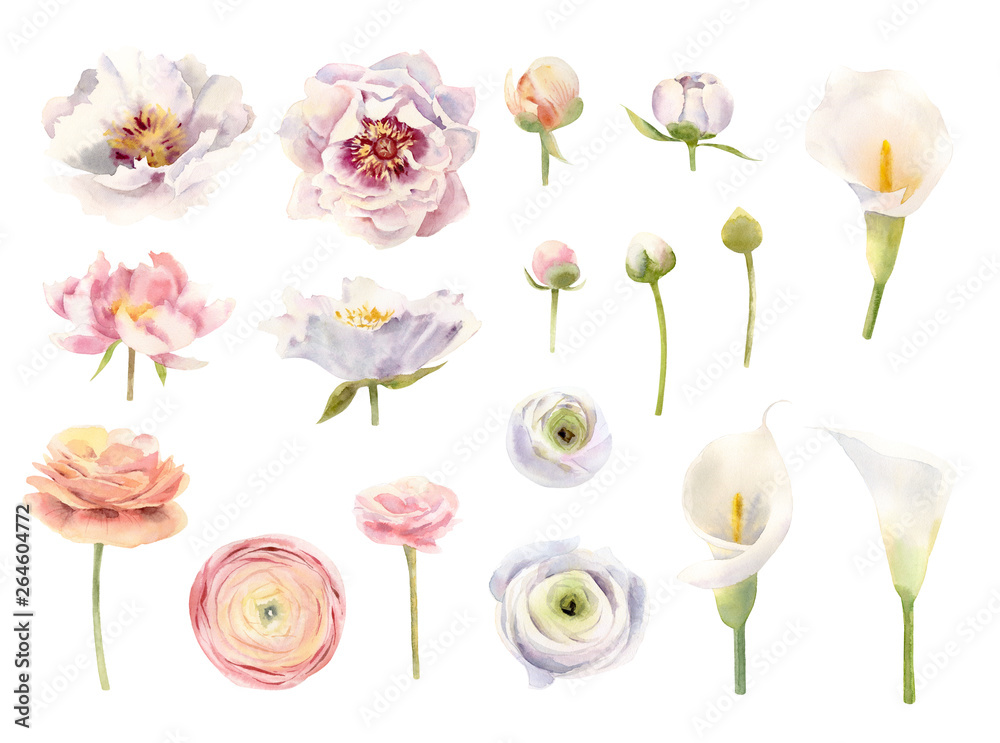 collection of hand painted watercolor flowers Stock Illustration ...