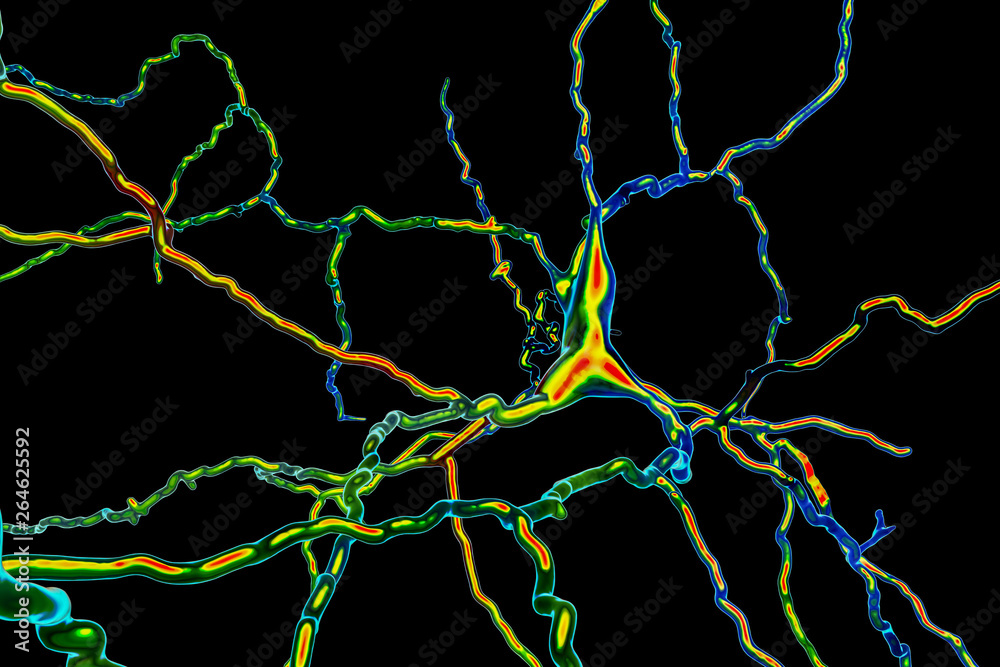 Dopaminergic neuron, 3D illustration. Degeneration of this brain cells ...
