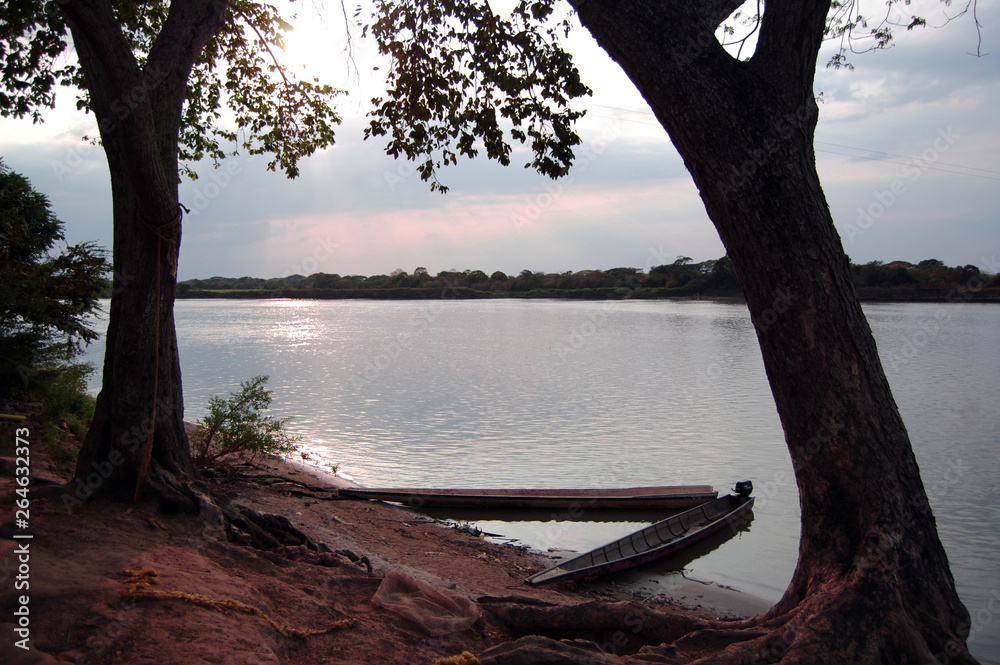 ribera del río Apure en Venezuela Stock Photo | Adobe Stock