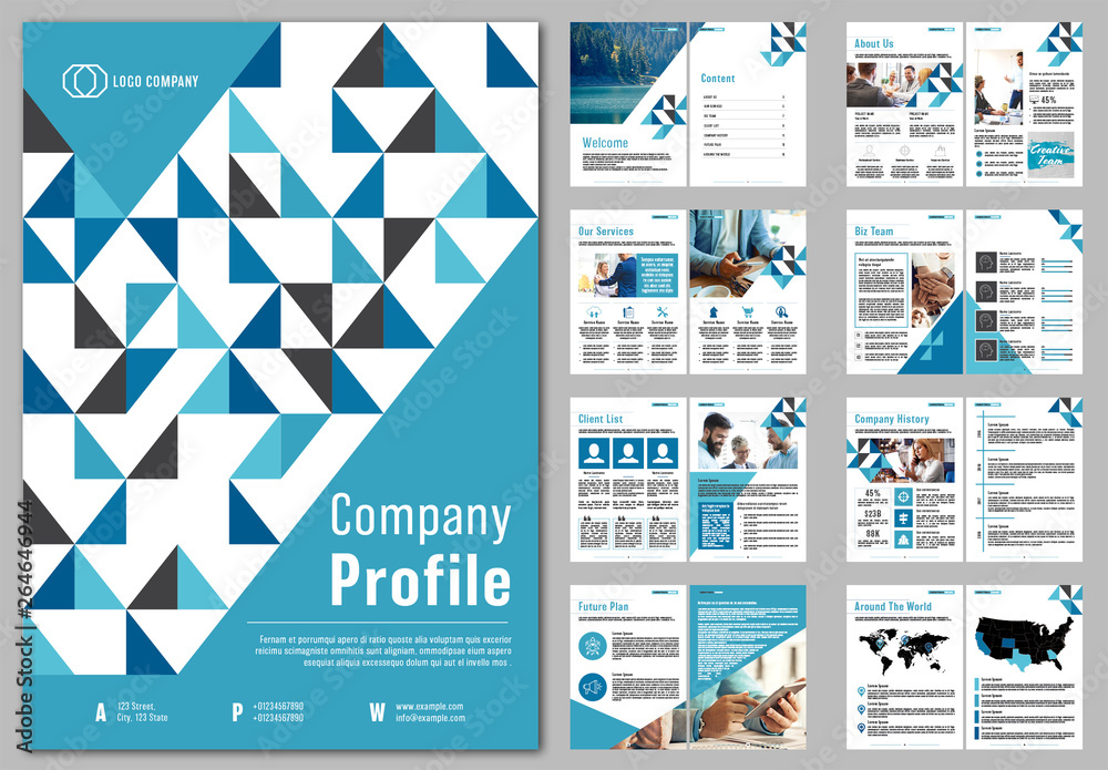 Company Profile Layout with Blue Accents Stock Template | Adobe Stock