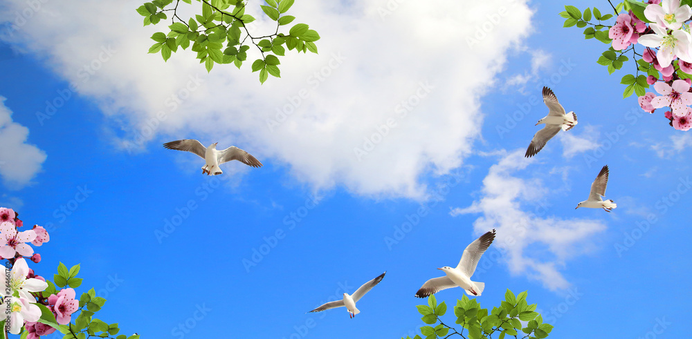sky and clouds nature ceiling design Stock Photo | Adobe Stock