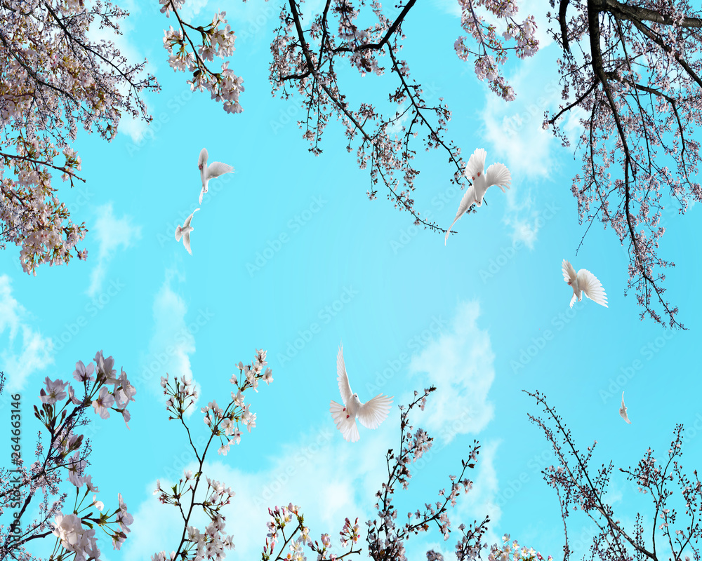 sky and clouds nature ceiling design Stock Photo | Adobe Stock