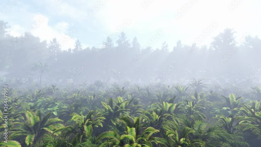 Jungle 04 is motion footage for landscape films and cinematic in art ...