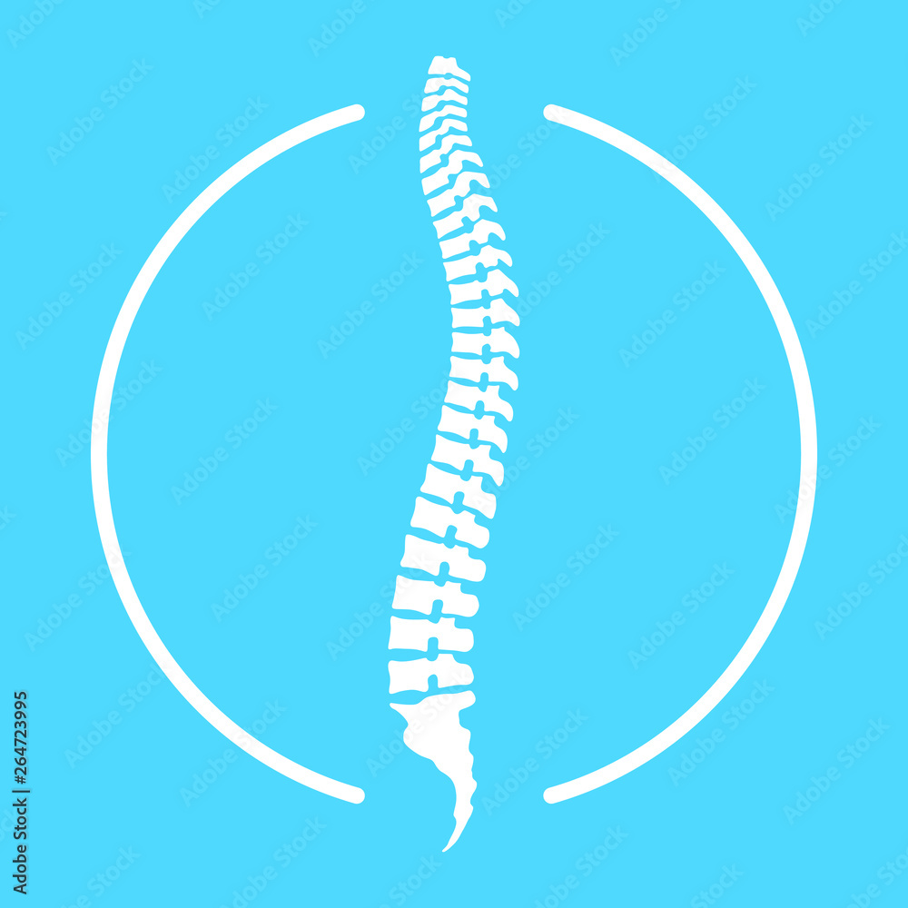 Spine human graphic icon. Spinal column sign in the circle isolated on ...
