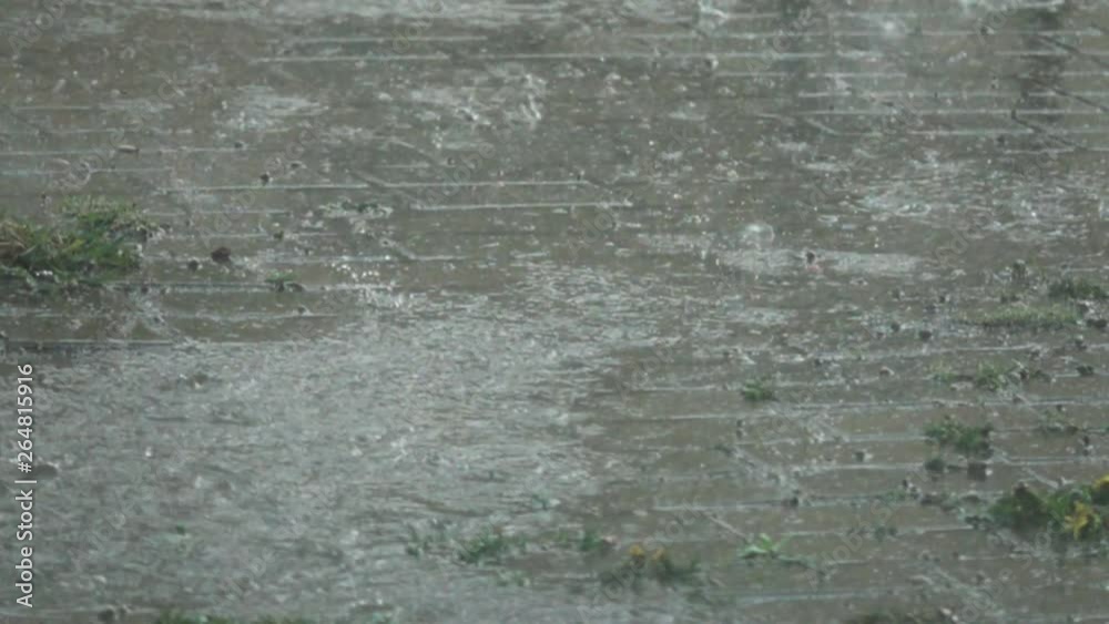 Rain in the city. Water Drops. Large Drops of Rain fall in a Puddle ...