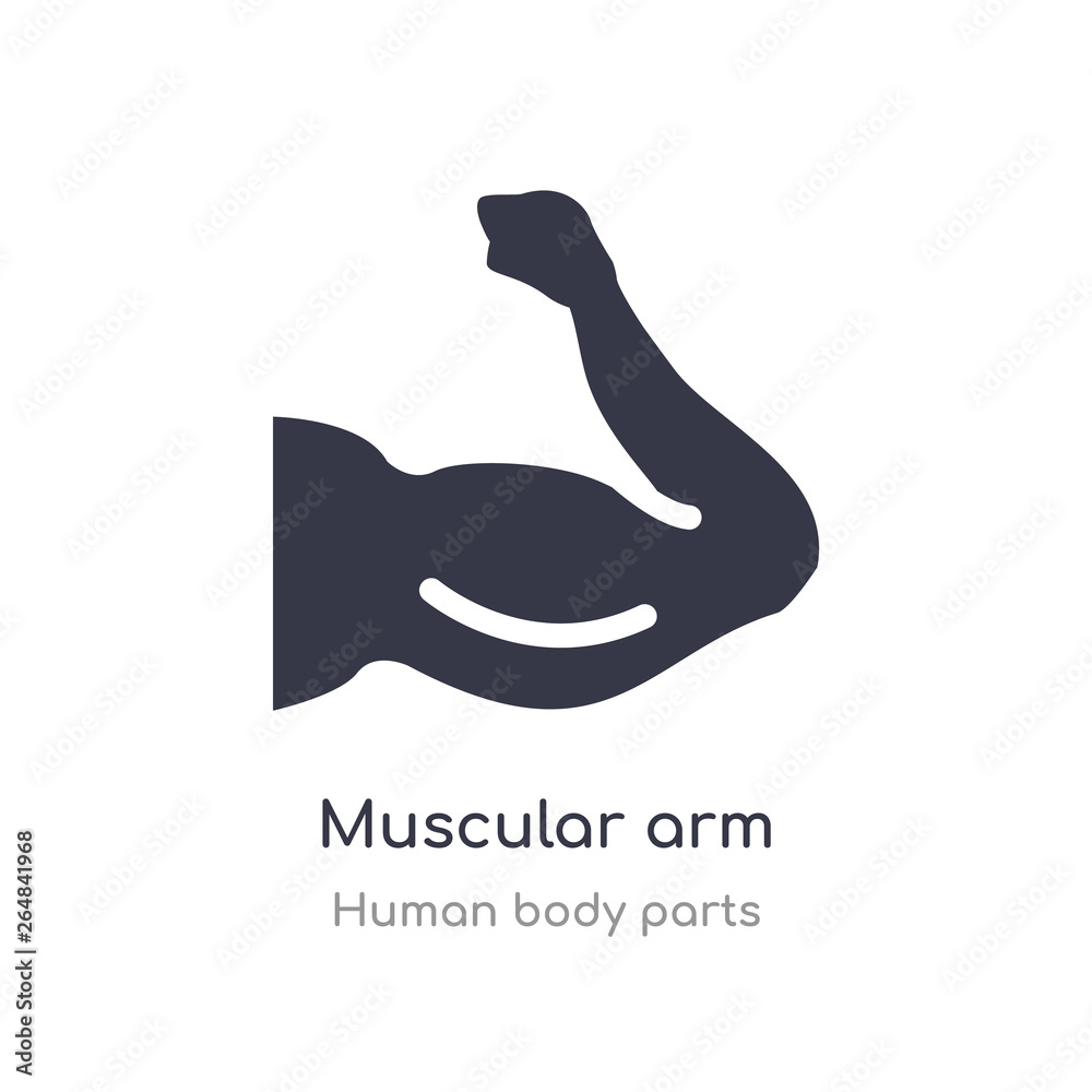 muscular arm outline icon. isolated line vector illustration from human ...
