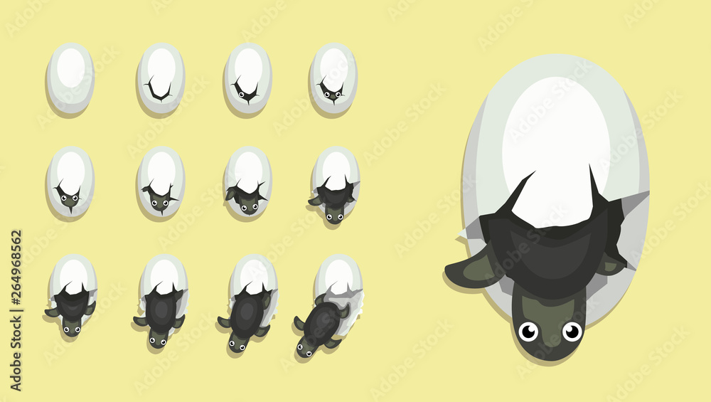 Animal Animation Sequence Egg Hatching Baby Turtle Cartoon Vector Stock ...