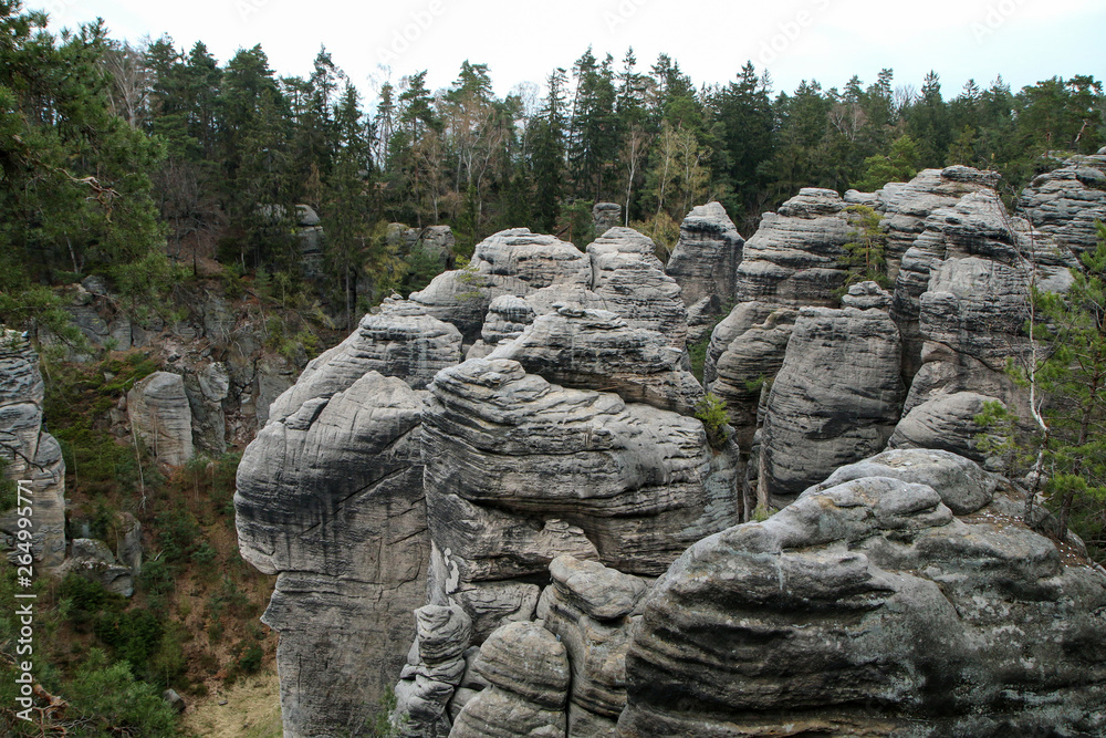The area in Czech republic, called Prachovské skály (Prachovské rocks ...