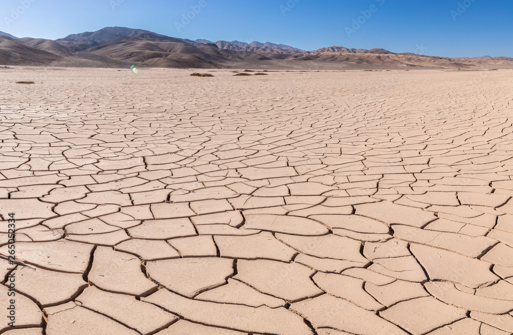 Climate change effects, dry sand field where a while ago there was ...