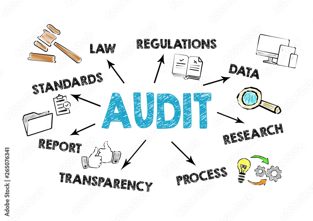 Audit concept. Chart with keywords and icons on white background Stock ...