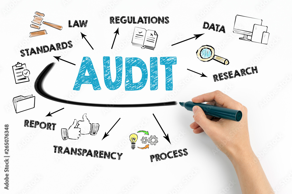 Audit Concept. Chart with keywords and icons on white background Stock ...
