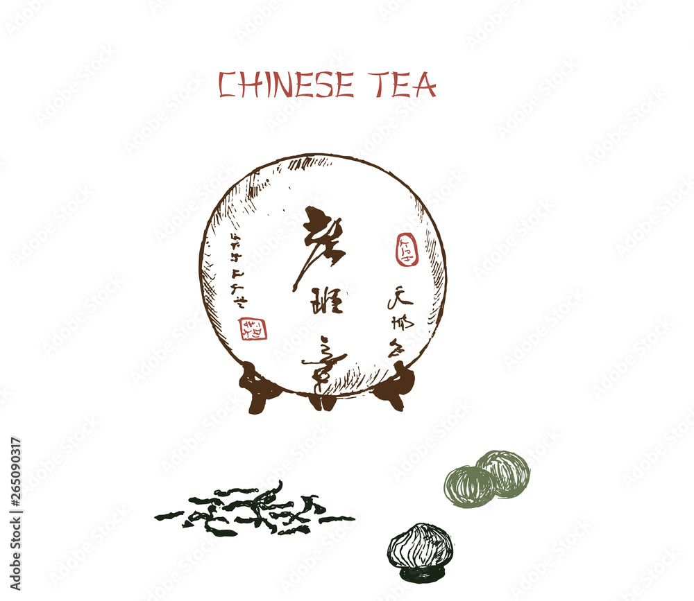 Chinese tea ink pen sketch on white background. Chinese medical tea ...