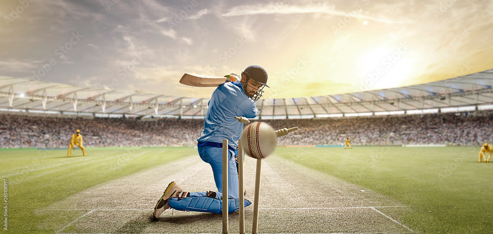 Rear View Of Cricket Ball Hitting the Stumps Behind the Batsman Stock ...
