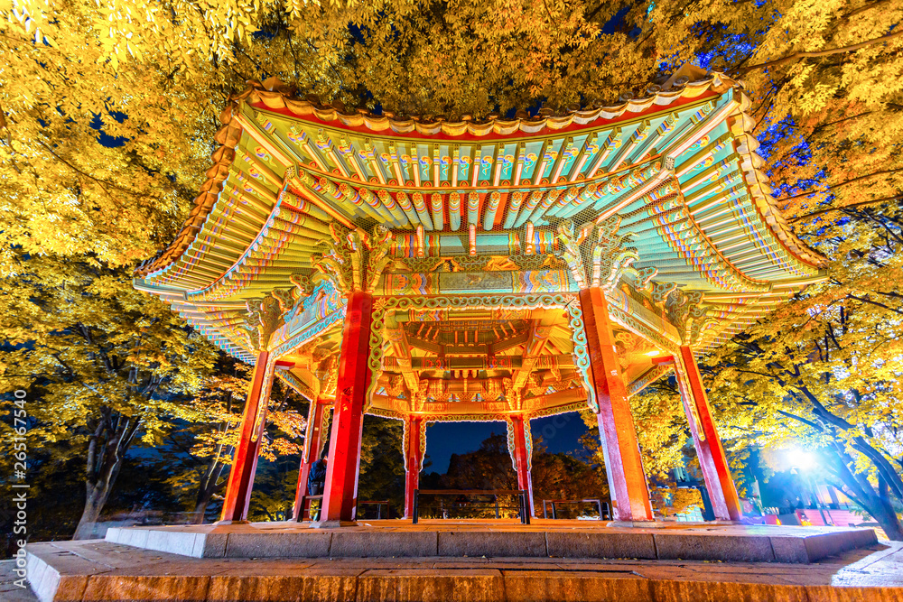 Fall color change in Seoul and N seoul tower in autumn at night, Seoul ...
