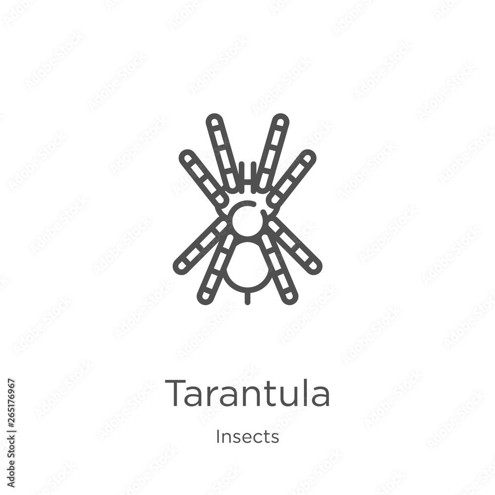 tarantula icon vector from insects collection. Thin line tarantula ...