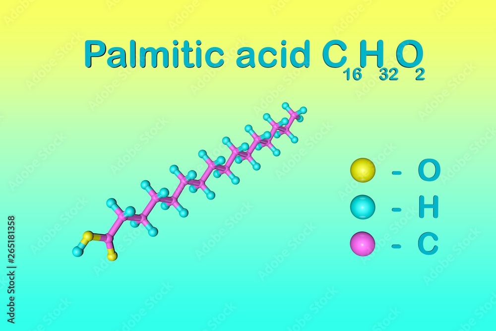 Structural chemical formula and molecular model of palmitic acid (palm ...