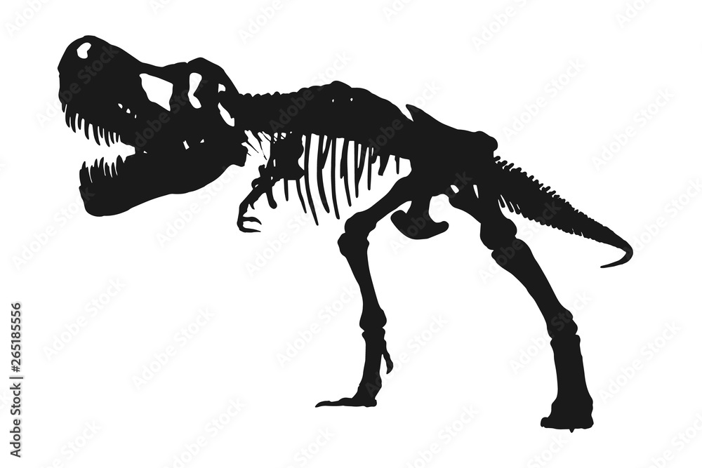 Tyrannosaurus Rex skeleton silhouette on isolated white background ...