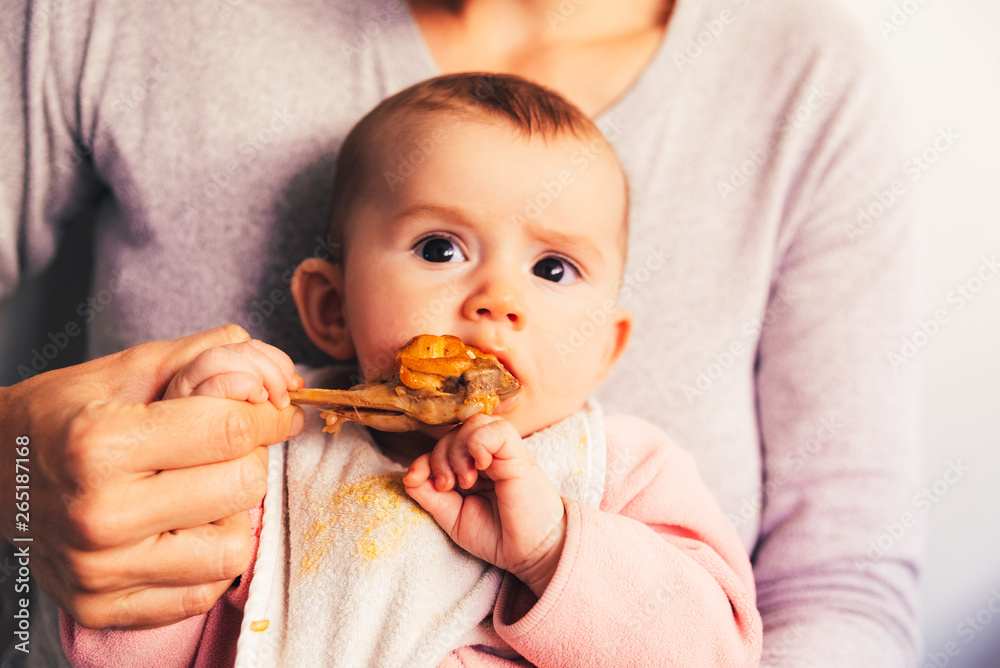 4 month old baby nibbling a chicken leg, tasting his first foods using ...