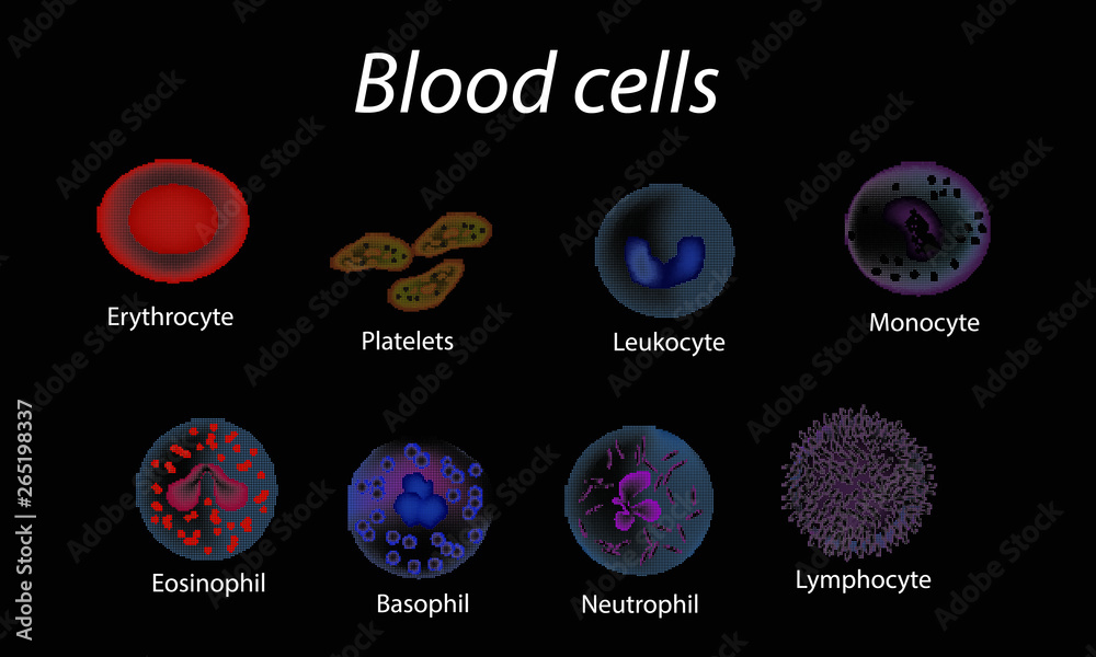 Stockvector Blood cells. Set of colored cells. Red blood cells ...