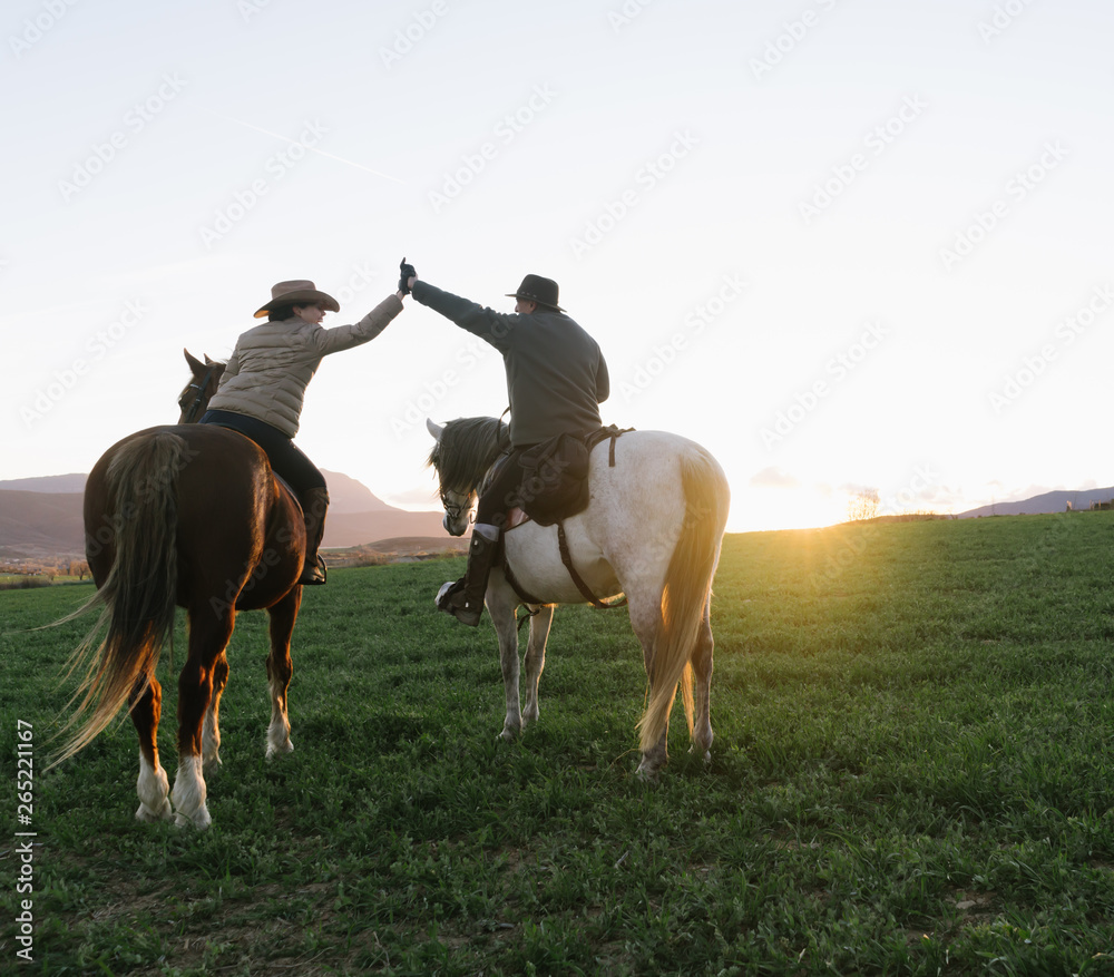 Foto de Back view of man and woman riding horses and giving high five ...