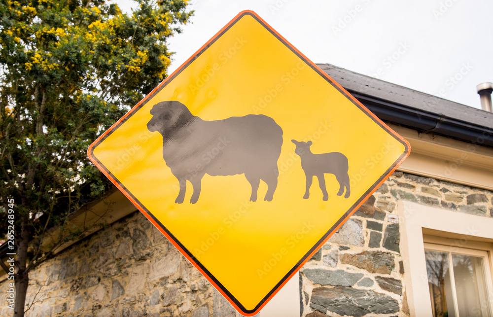 New Zealand road sign warning sheep and lamb crossing in rural farming ...