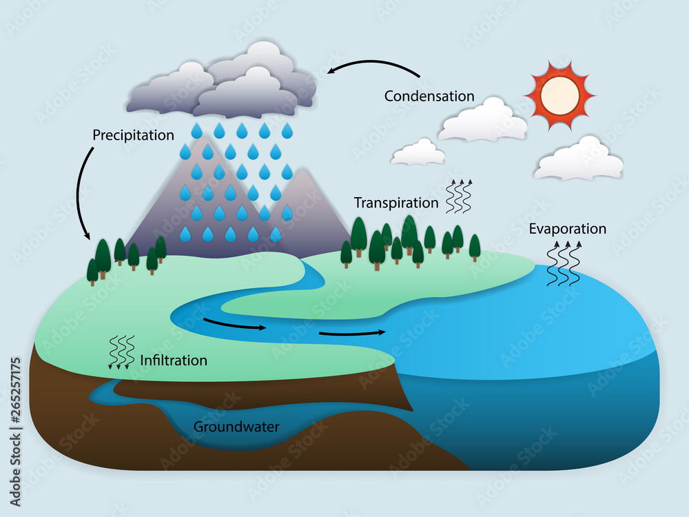 Diagram of Water Cycle in nature Stock Vector | Adobe Stock