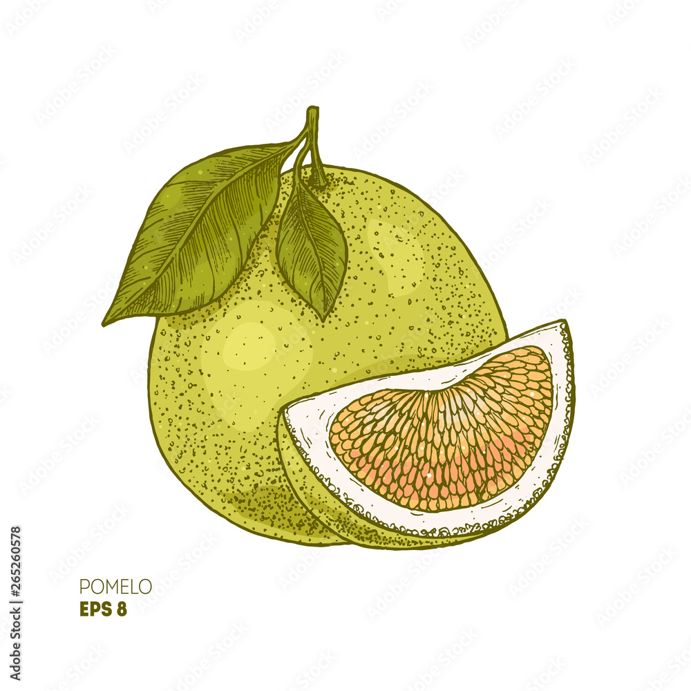 Pomelo Color