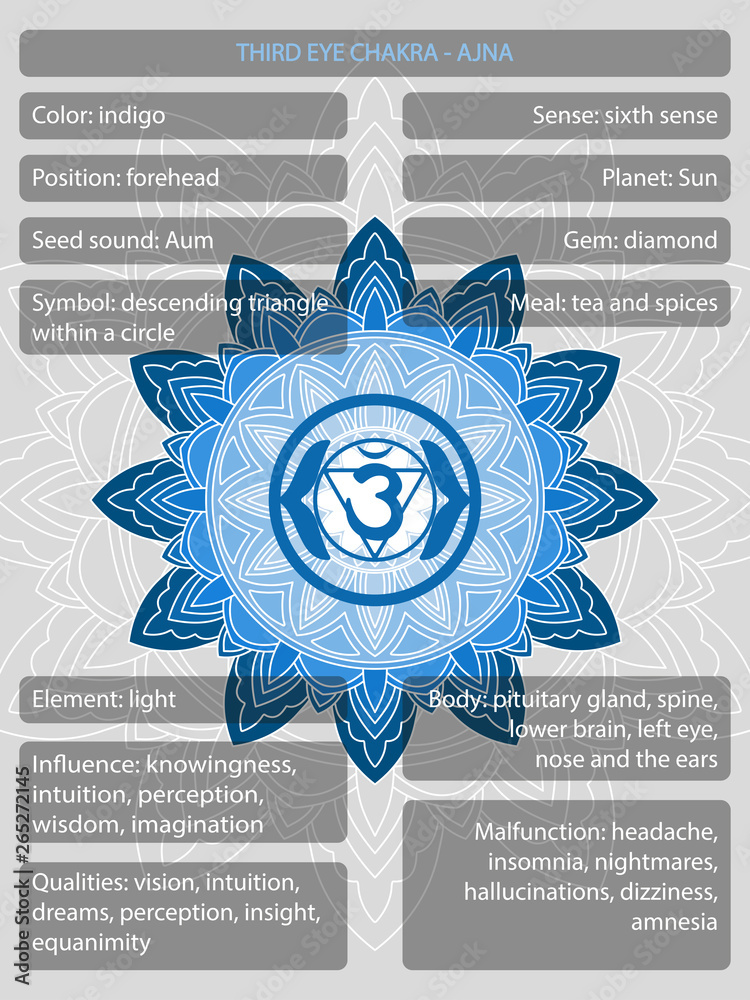 Chakras symbols with description of meanings infographic Stock Vector ...