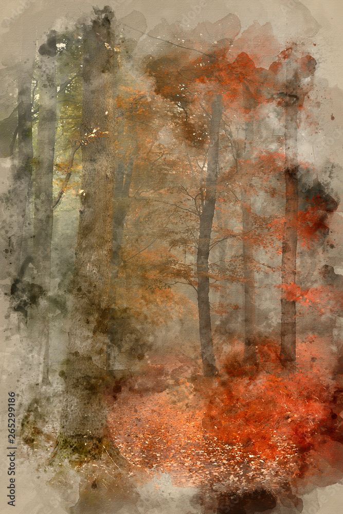 Watercolor painting of Seasons changing from Summer into Autumn Fall ...