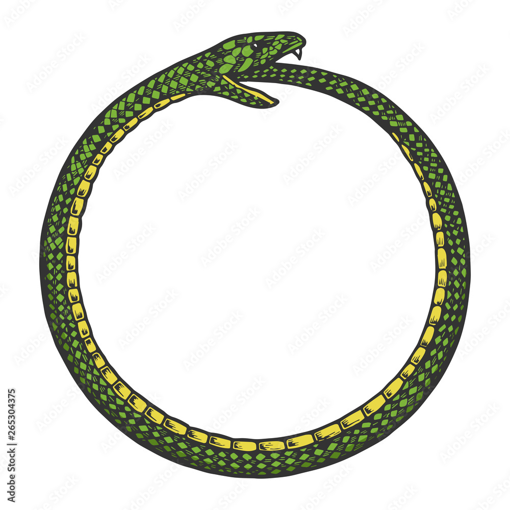 Snake bites itself color sketch engraving vector illustration. Scratch ...
