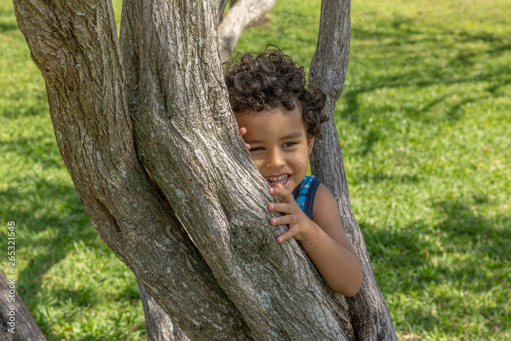 The small boy nestles himself between the tree trunks while playing. A ...