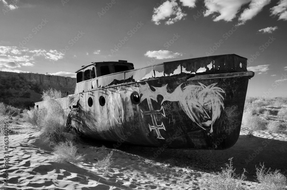 Dried Up Aral Sea
