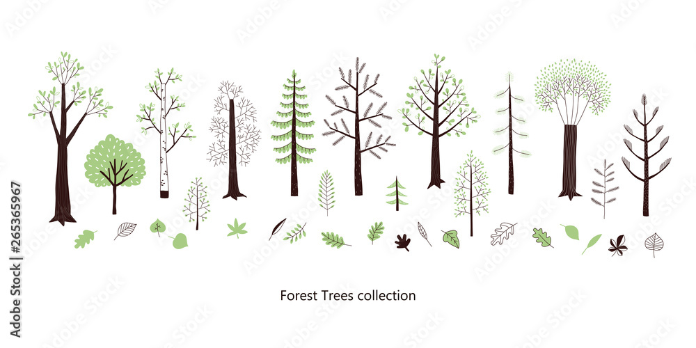 Forest trees and leaves vector clip-art set. Woodland flora in ...