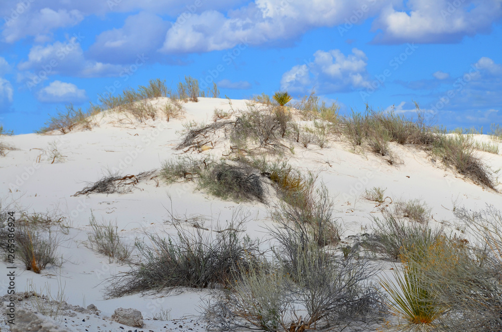 White Sands National Monument U.S located in the state of New Mexico ...