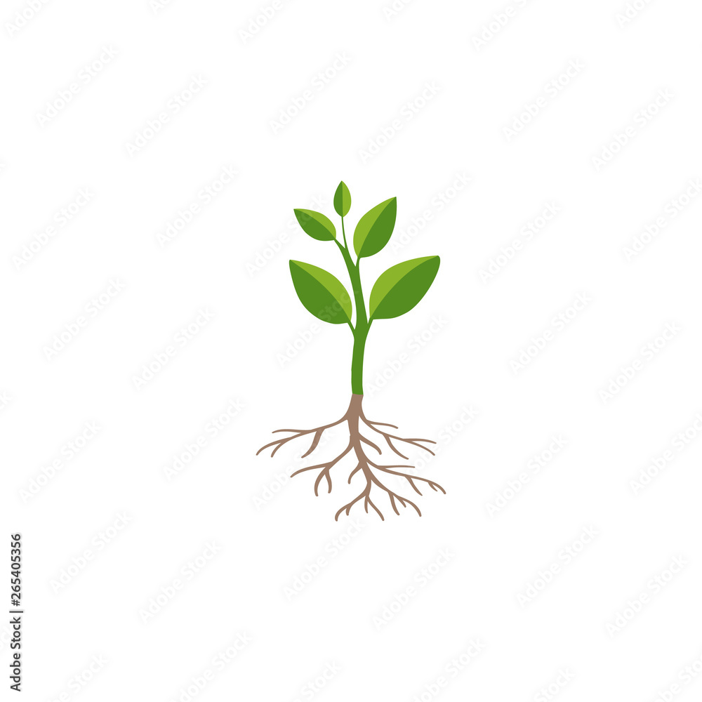 Green plant sprout isolated on white background Stock Illustration ...